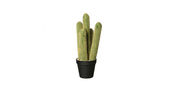 Vaso Com Cacto 'Cleisto Cactus' Ø12,5cm - Deko Verde E Preto - Asa ...